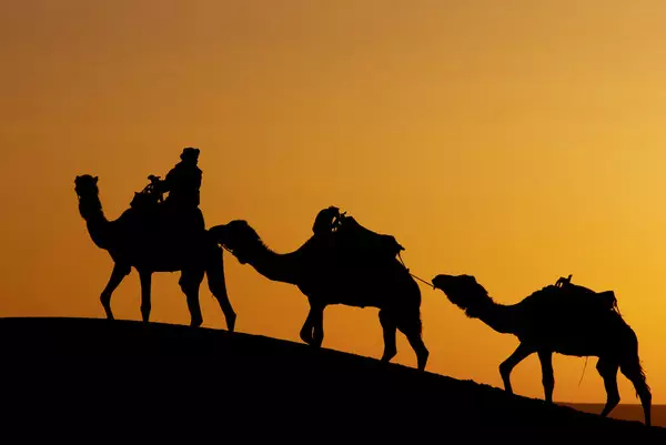 Hora de trabajo: Capitán del desierto. 47343_13