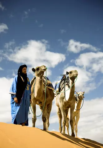 ຮູບທີ 5 - ປັດຈຸບັນເຮັດວຽກ: Captain of the Desert