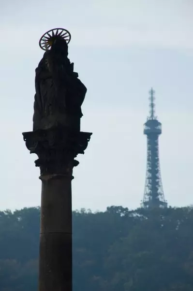 写真№2 - 難解な首都のハト