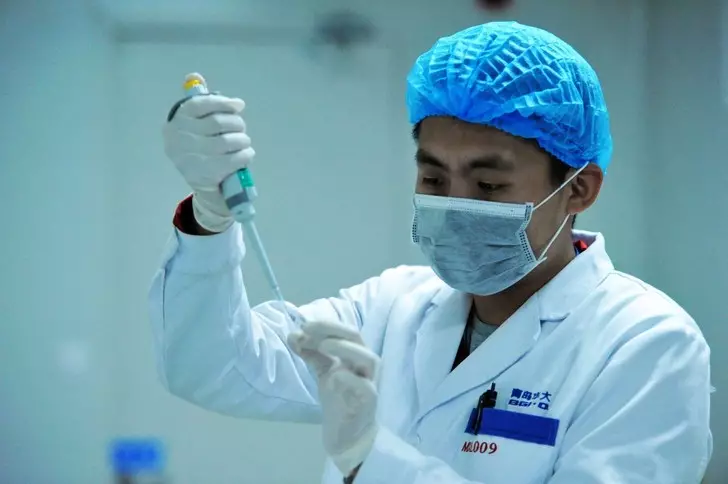 Фото №1 - В Китаї вивели макак з генами людини