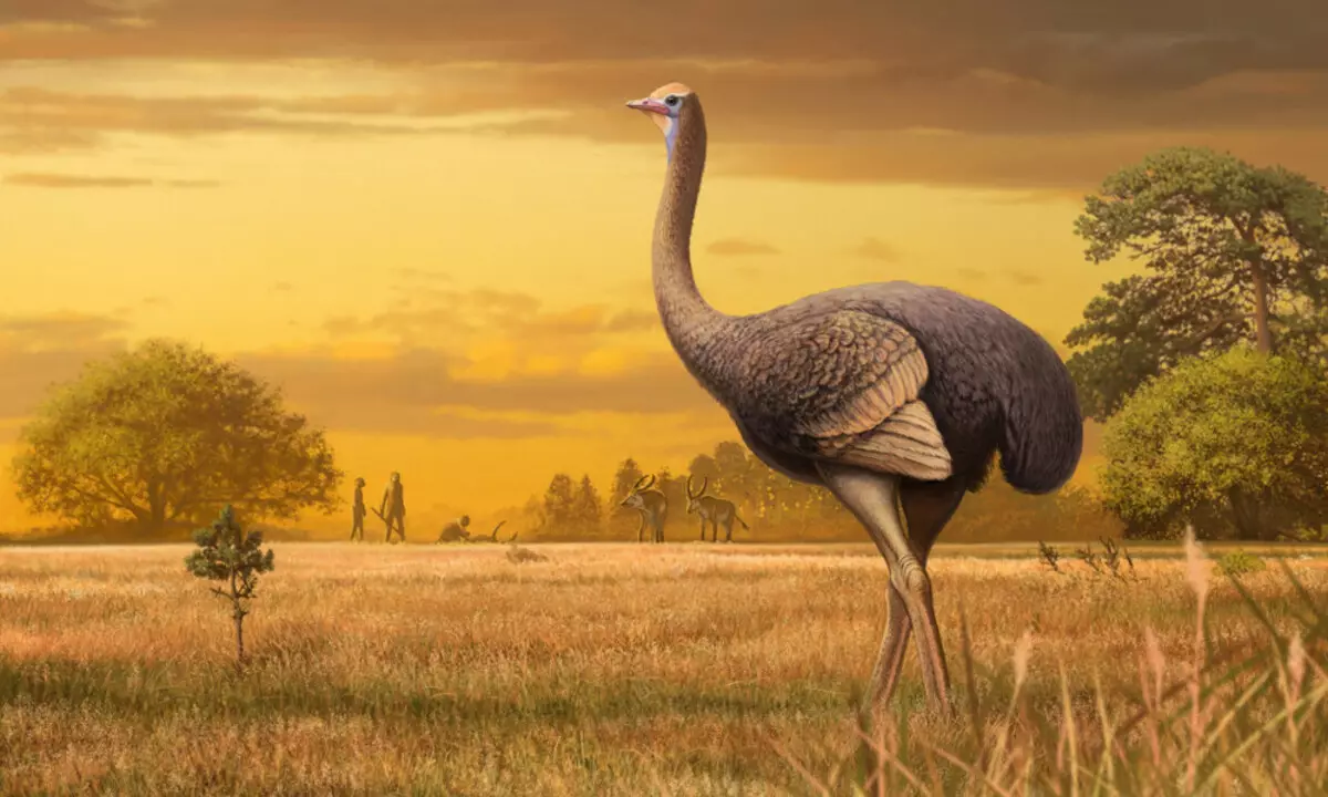 Giant Fossil Bird buvo rasta Kryme