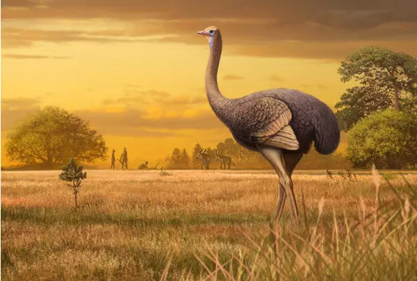 Atopouse o ave fósil xigante en Crimea 47919_1