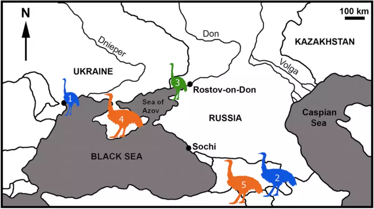 Zogu fosil gjigand u gjet në Krime 47919_2