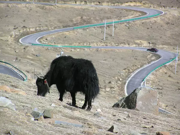 Wêne №2 - Bus to Zhonhava Stua