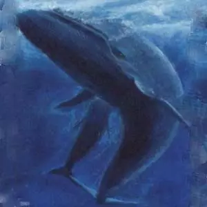 Foto №1 - balene japoneze trag sub masca victimelor științei