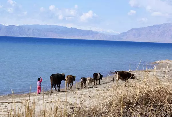 Photo №1 - ווי הימל טרעפן מיט ערד