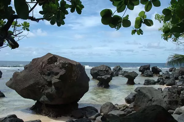 照片3 - 斐济 - 水果沙拉国家