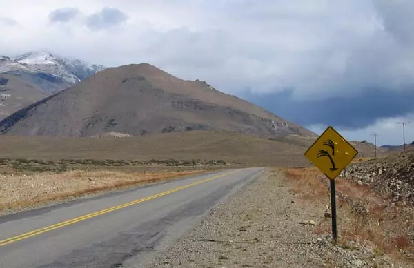 FOTO №2 - vred på vinden af ​​Patagonia