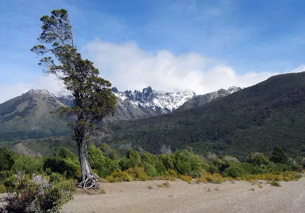 Fotografie číslo 6 - rozzlobený vítr patagonie