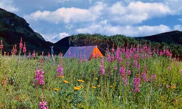 Photo №5 - Kamchatka without eruptions