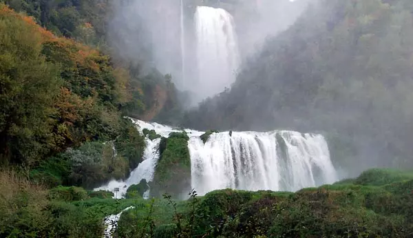 ඡායාරූප අංකය 5 - ආදරය සඳහා කටු හරහා