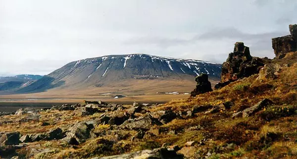 Photo №2 - Mammouth Contemporains Exiled à Taimyr