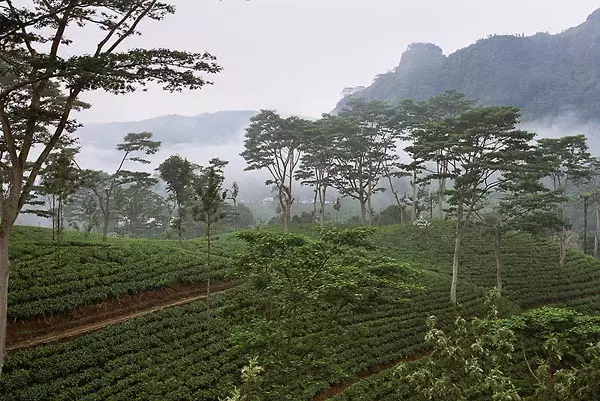 Die geheime lewe van Sri Lanka