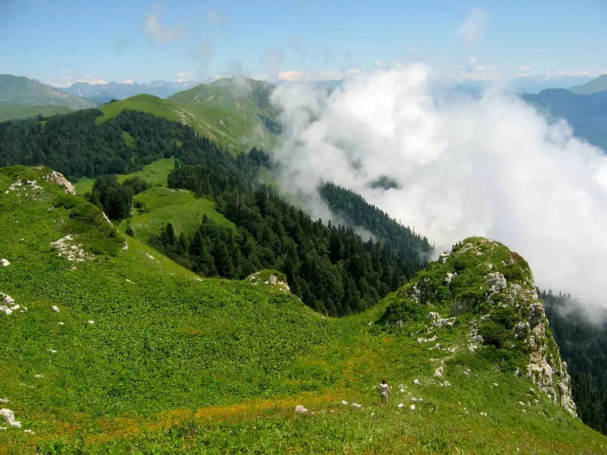 Foto №5 - Canyons pod ledom, otopljeni otoka i drugih geografskih otkrića XXI stoljeća