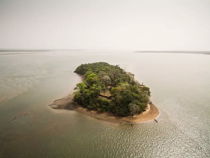 Foto №2 - Lions bor inte här: 60 år av oberoende Sierra Leone