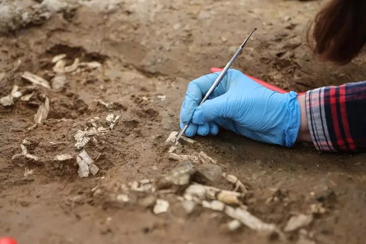 Foto número 1 - Decenas de tumba prehistórica atopada en Estambul