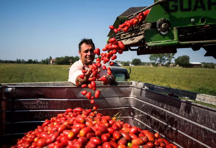 Италийн зургууд: Улаан улаан лооль нь 
