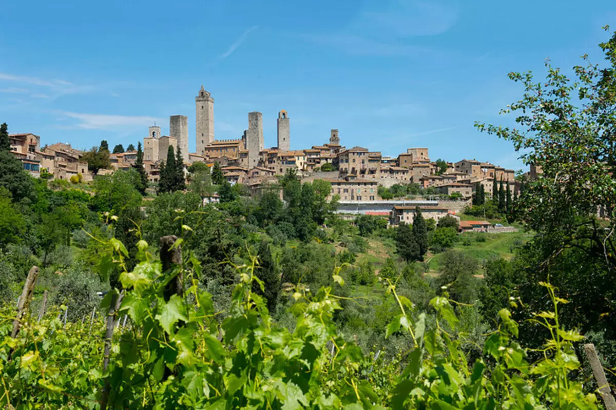 Fotoğraf №5 - Siena: tırmık kenti, çeşmeler ve savaşan contraels içinde şaraplar