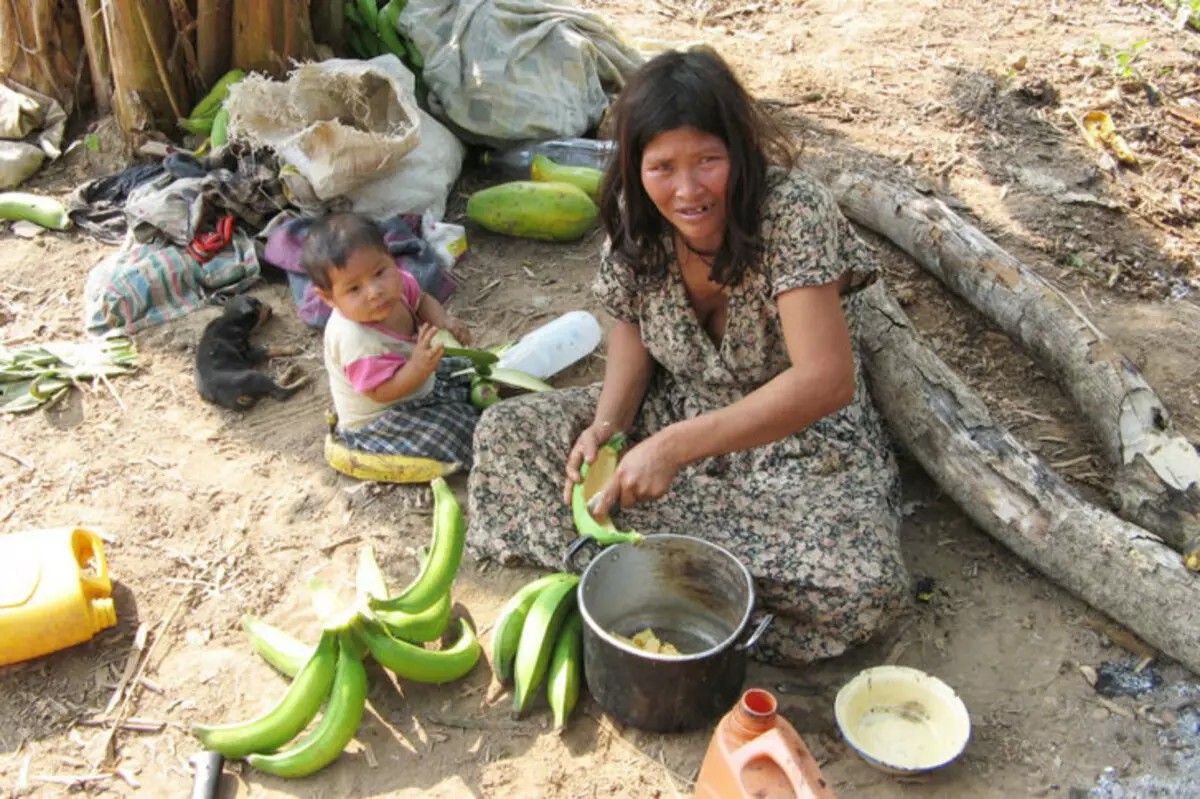 Foto №1 - Kecepatan penuaan otak pada orang-orang Timmana mengejutkan ilmuwan