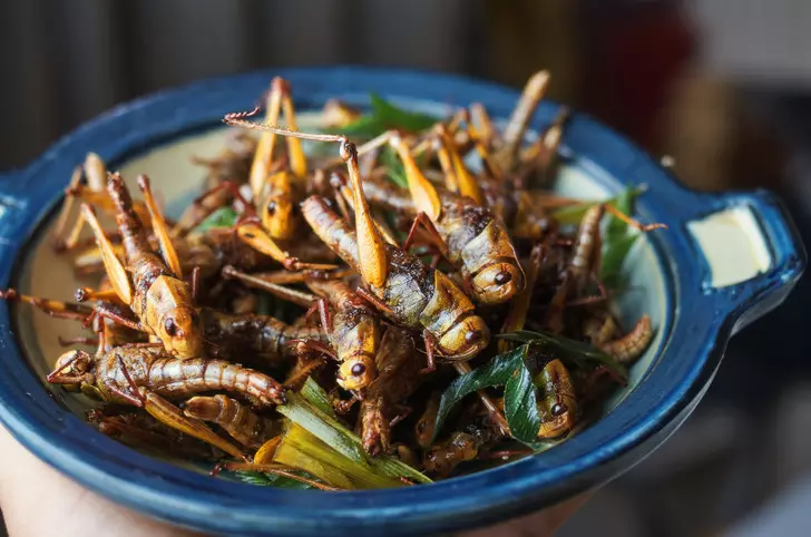 Foto №1 - Locust untuk makan siang, kumbang untuk makan malam: Di mana, bagaimana dan mengapa memasak dan memakan serangga