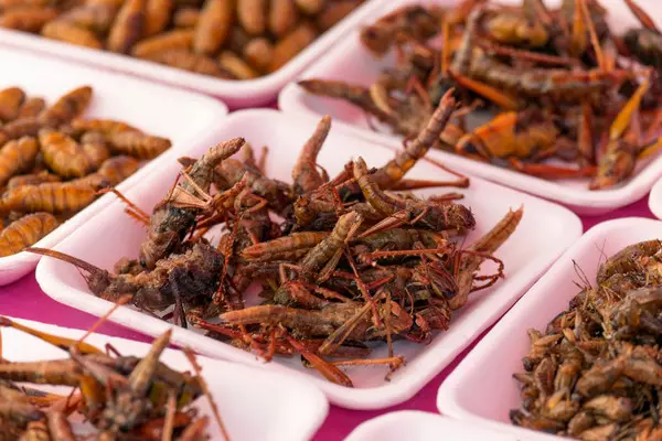 Belalang untuk makan siang, kumbang untuk makan malam: Di mana, bagaimana dan mengapa memasak dan memakan serangga 8758_5
