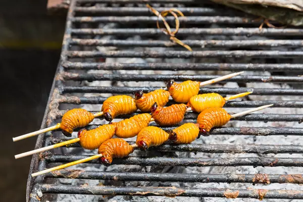 Belalang untuk makan siang, kumbang untuk makan malam: Di mana, bagaimana dan mengapa memasak dan memakan serangga 8758_6