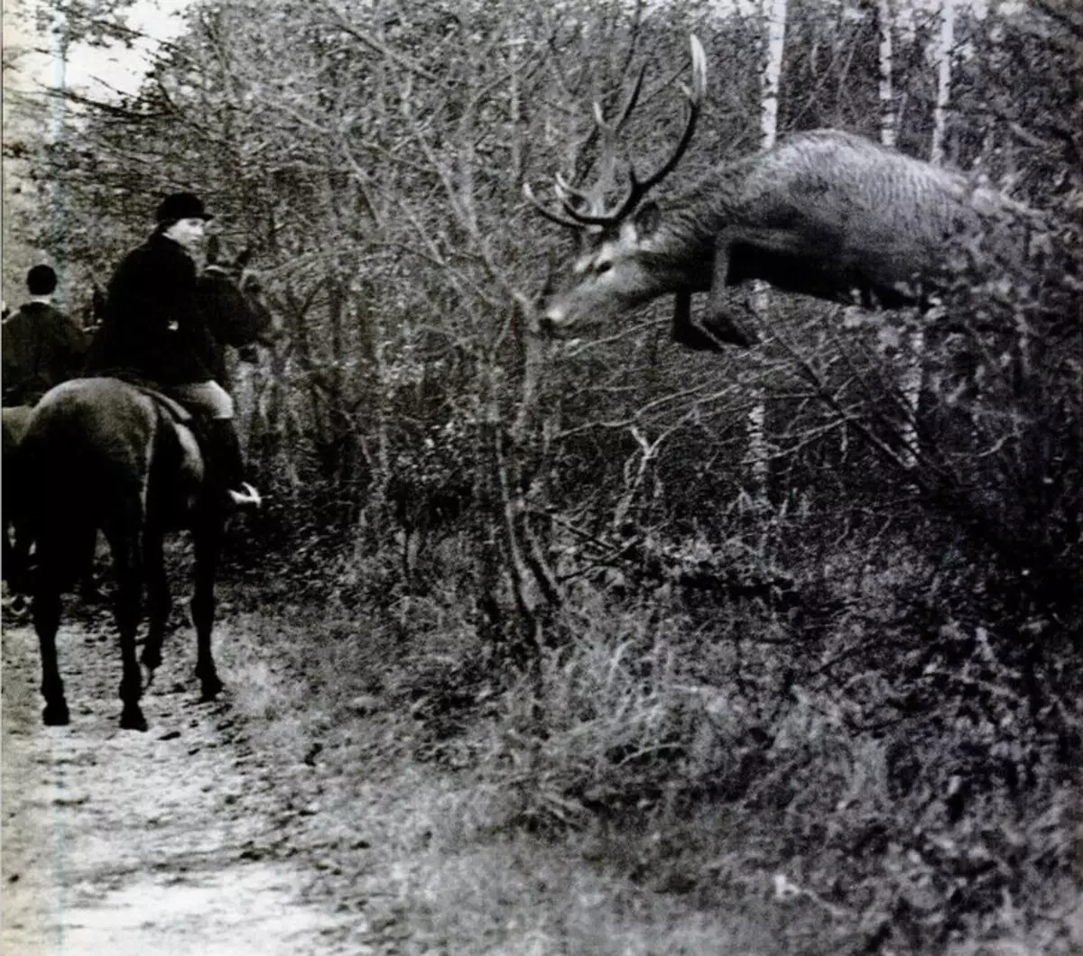 Fotografovanie №3 - Suché Niagarské vodopády a 4 neočakávanejšej retrofotografii