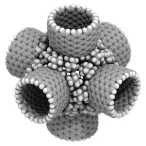 Ifoto №1 - Nanotubes yamuritse ibihaha