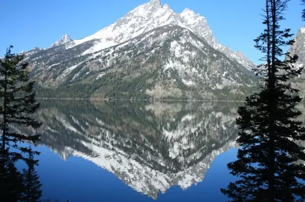 Foto Nombor 3 - Gangguan dalam Refleksi