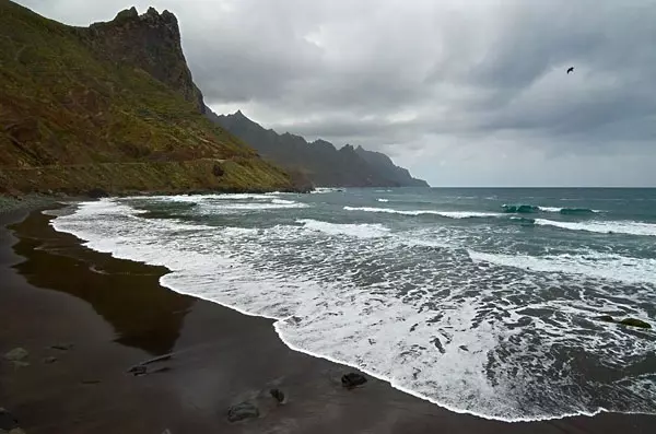 Photo6 լուսանկար - անտիկ նանոտեխնոլոգիա Անալոգ